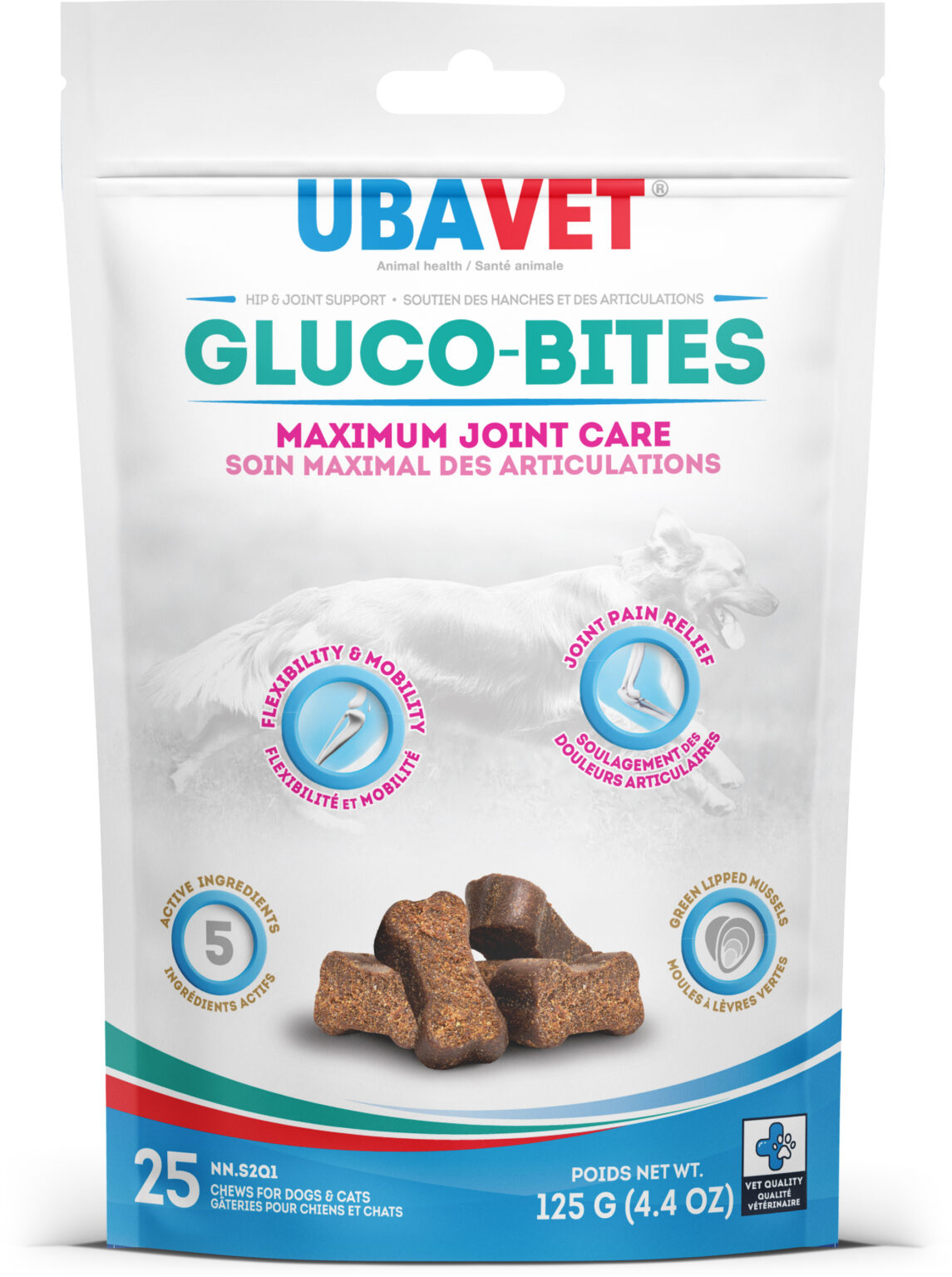 Dogs Archives - UBAVET